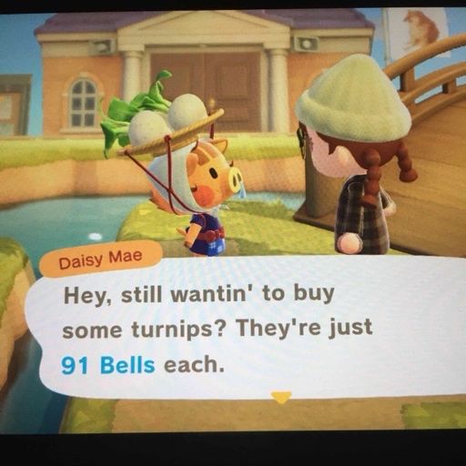 Peachio - AC Fan - ACNH Community